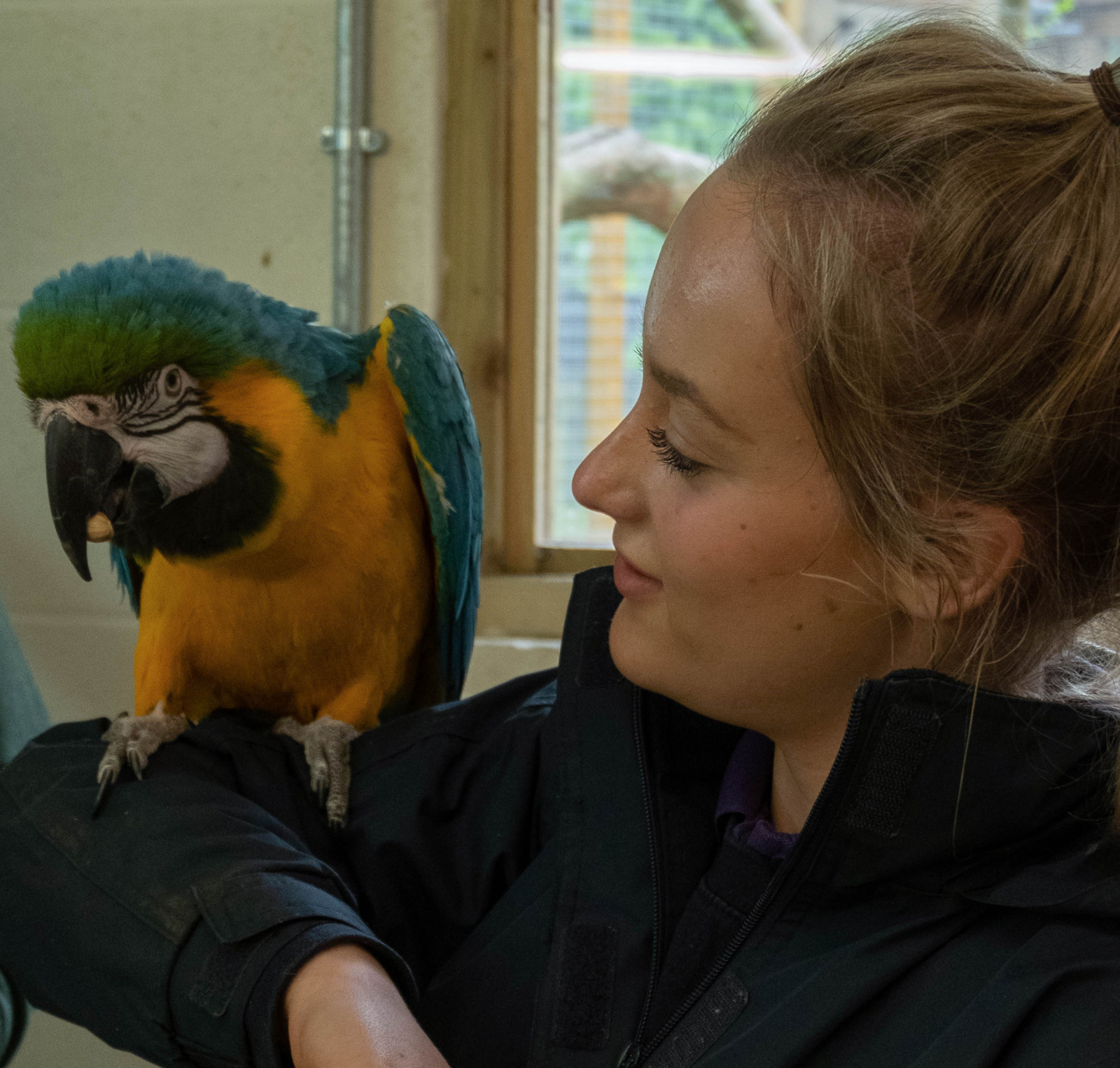 Level 5 FdSc Applied Animal Management (Part-Time)