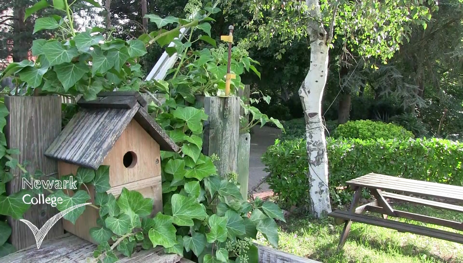 Hidden nature at Newark College